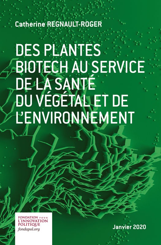 Des plantes biotech au service de la santé du végétal et de l ...